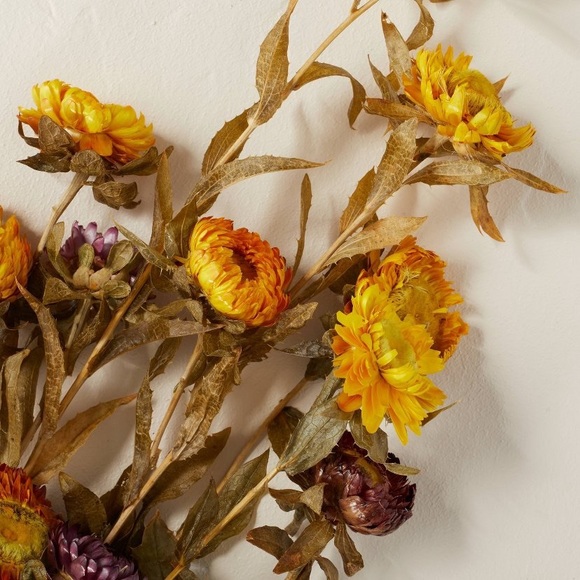 Hearth & Hand | Accents | Hearth Hand New Dried Safflower Stems Plant ...